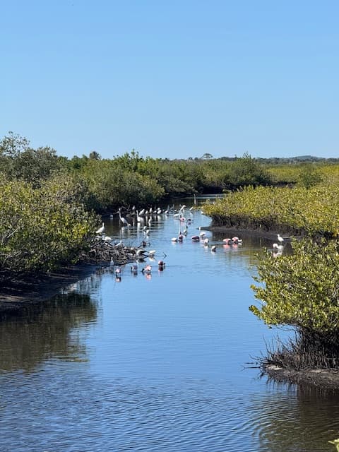 Merritt Island National Wildlife Refuge | East Coast Tour & Shuttle